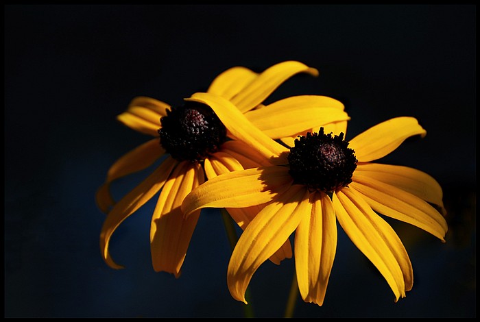 Epitome: Consolations of the Lord