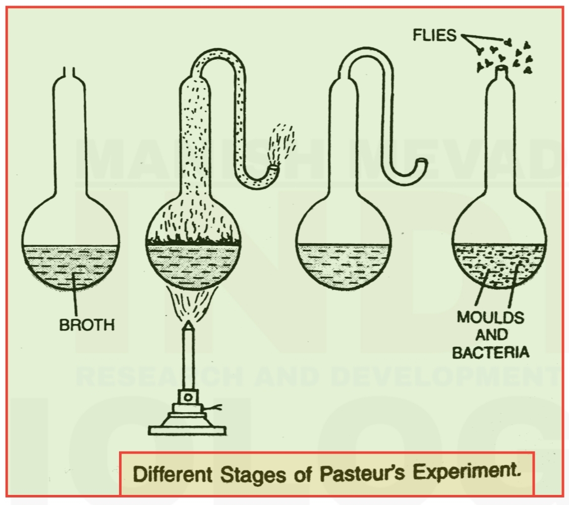 Our Earth and Origin of Life