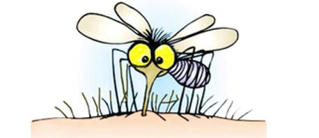 Pensamentos, adivinhas e outras coisas minhas...: A MELGA, ESSE GENTIL ...