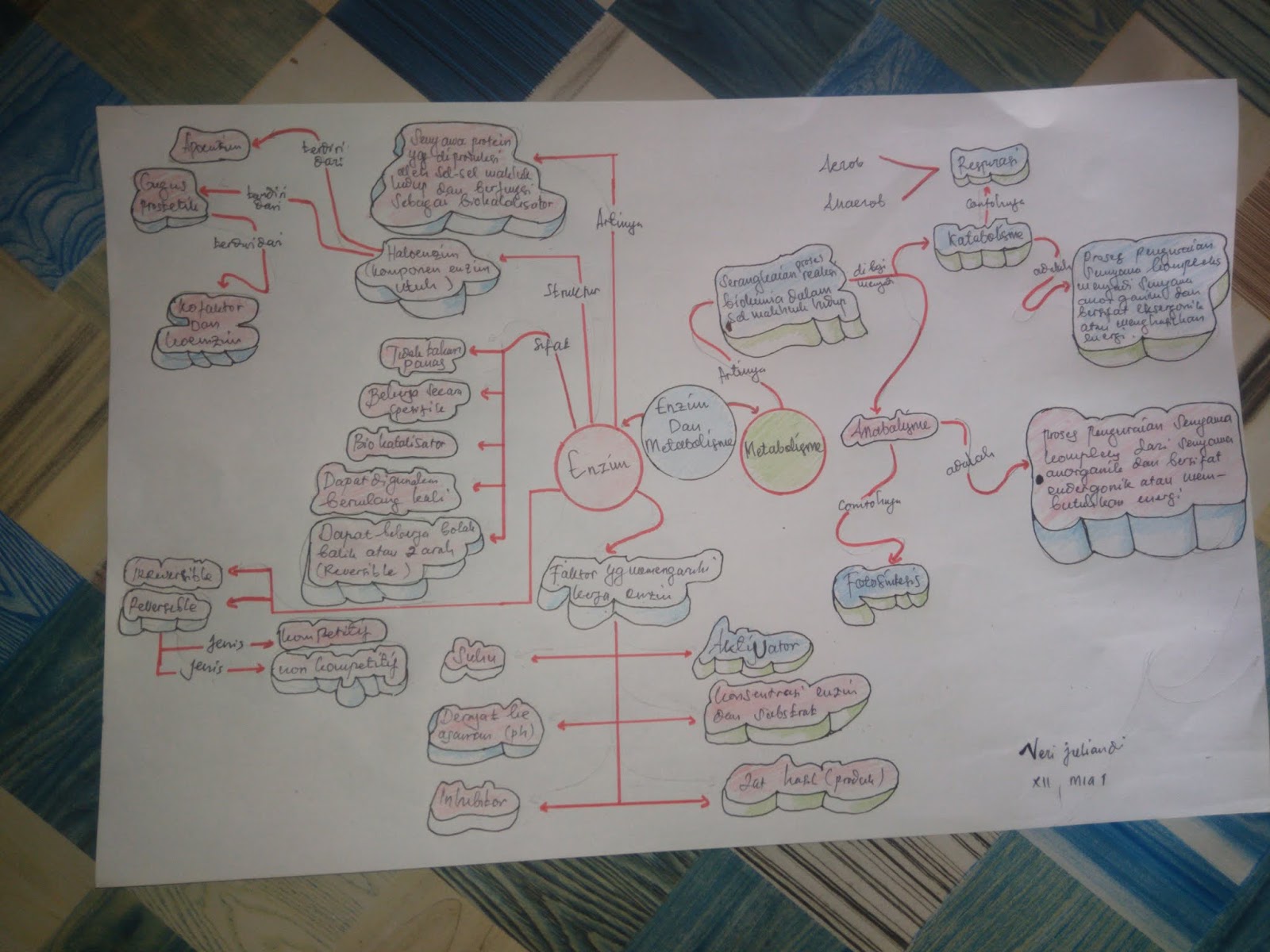 Tugas Mind Mapping Materi Enzim dan Metabolime Kelas XII MIA 1 - Kelas ...