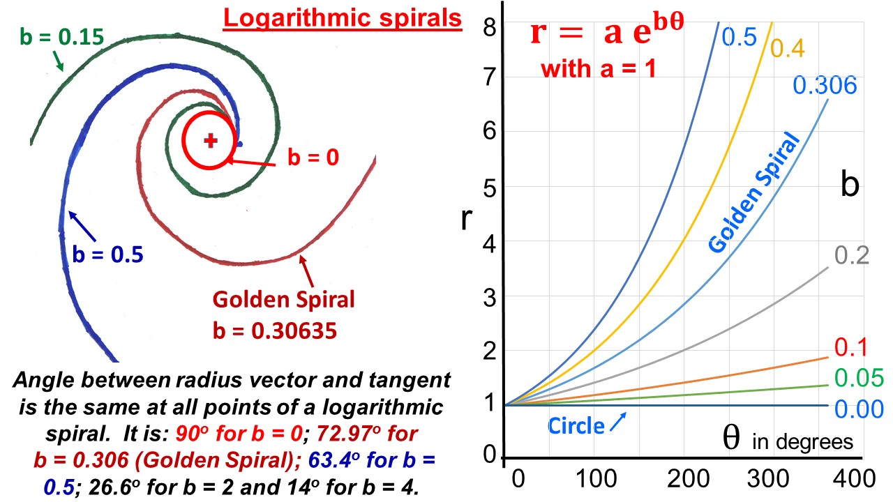 ektalks: Myths and Hypes about the Ubiquity of the Amazing Golden Ratio ...
