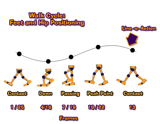 Animation Technique: WEEK 3/4 - Walk Cycles