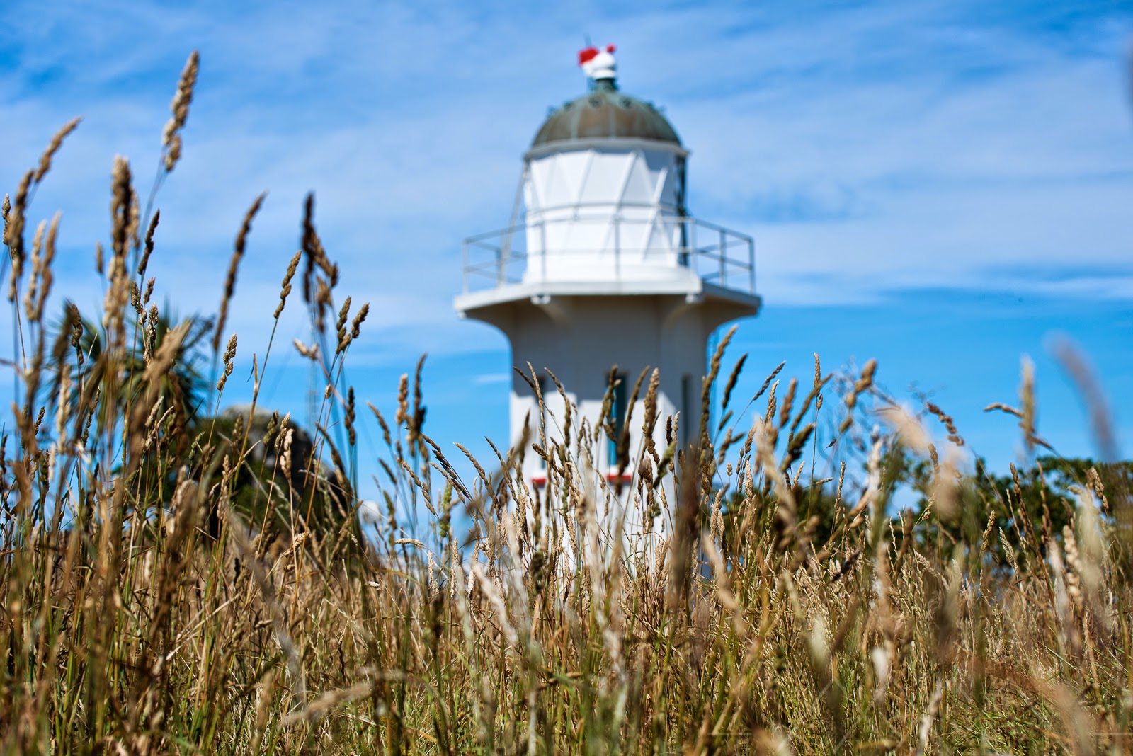 NZ Must Do: Adventures in Wellington - the walk to Baring Head ...