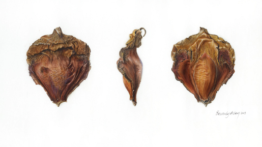 WILD THING: Beverly Allen