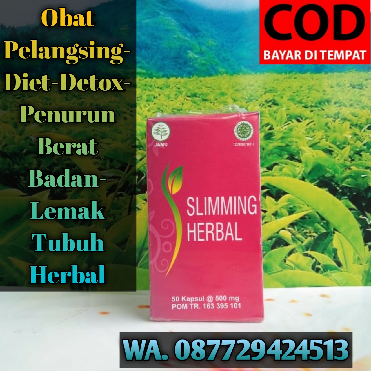 Obat Herbal De Nature: Obat Pelangsing Penurun Berat Badan Ampuh Di Apotik