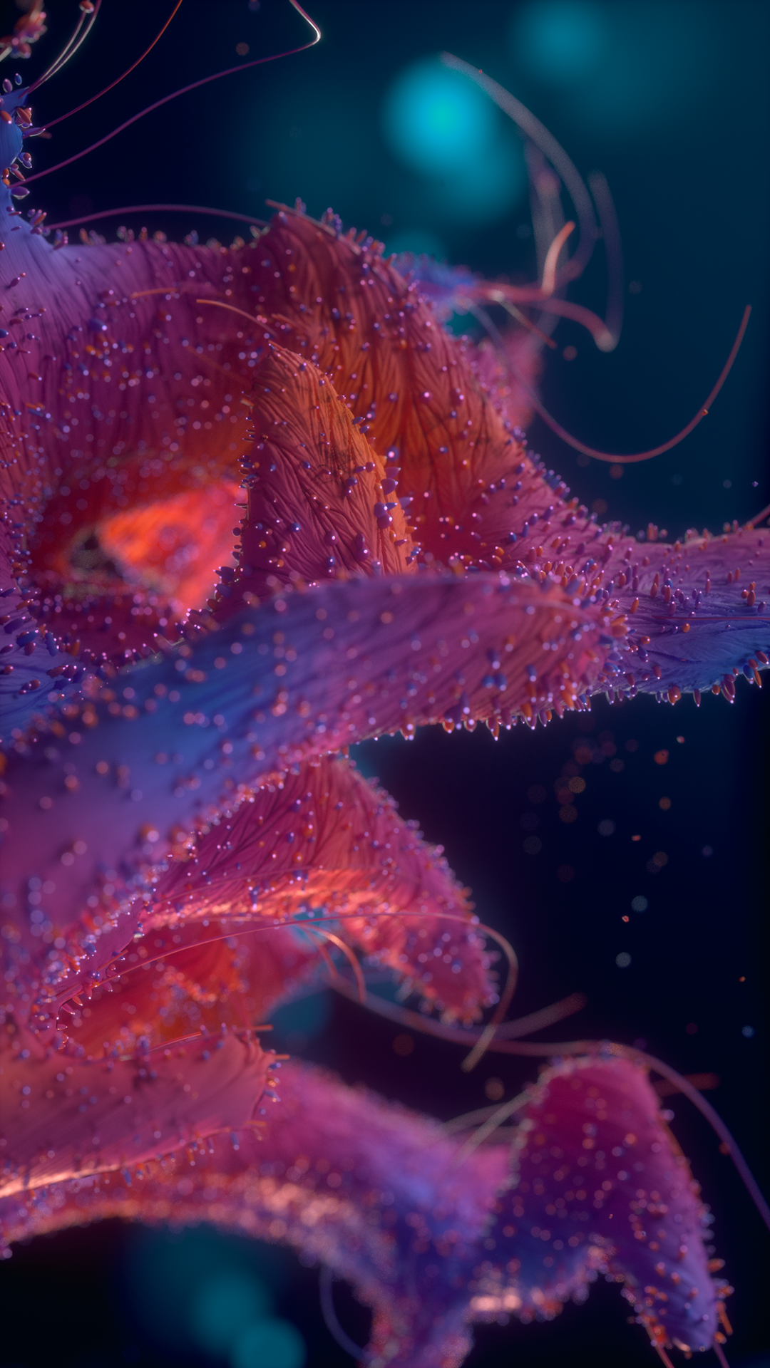 8 ABSTRACT WALLPAPERS - COLLECTION 183