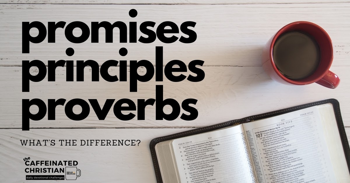 Promises, Principles, Proverbs, and Prophecies