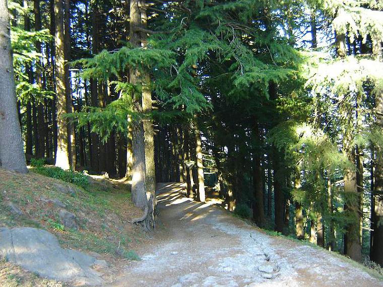 Pakistan Visiting Plases: Patriata Murree Pakistan