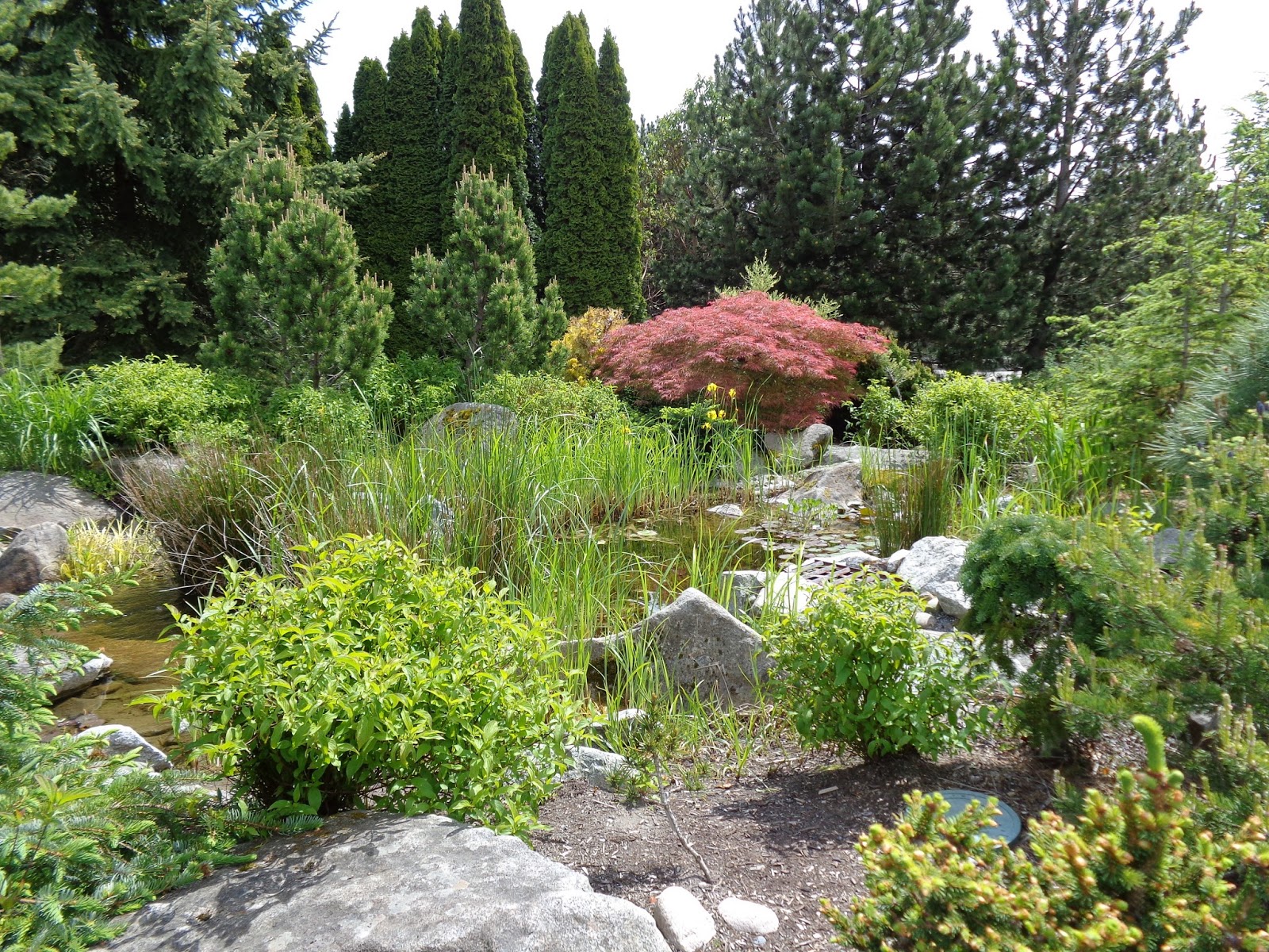 Plaintalker II: Visiting the Seattle Chinese Garden