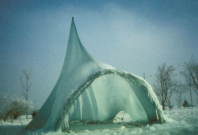 hybridbiostructures: Heinz Isler's Frozen Pavillions