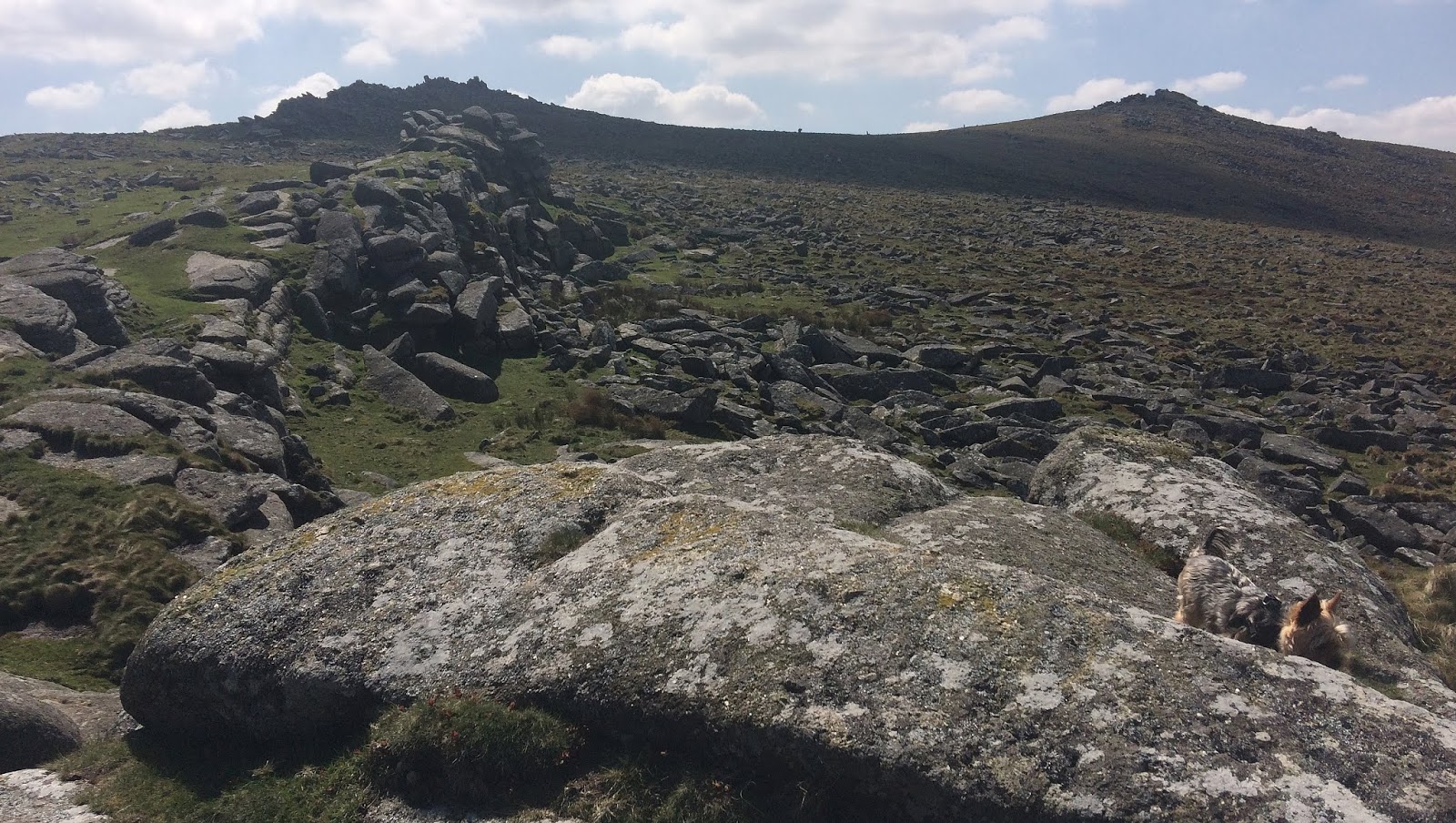 Max Piper - Tor Bagger: Dartmoor: The Tors and Rocks out of Belstone