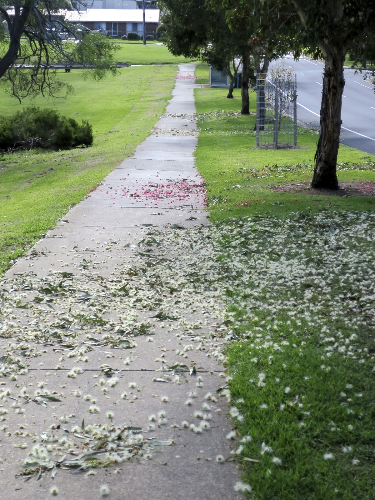 ROADSIDE IKEBANA: PAPER