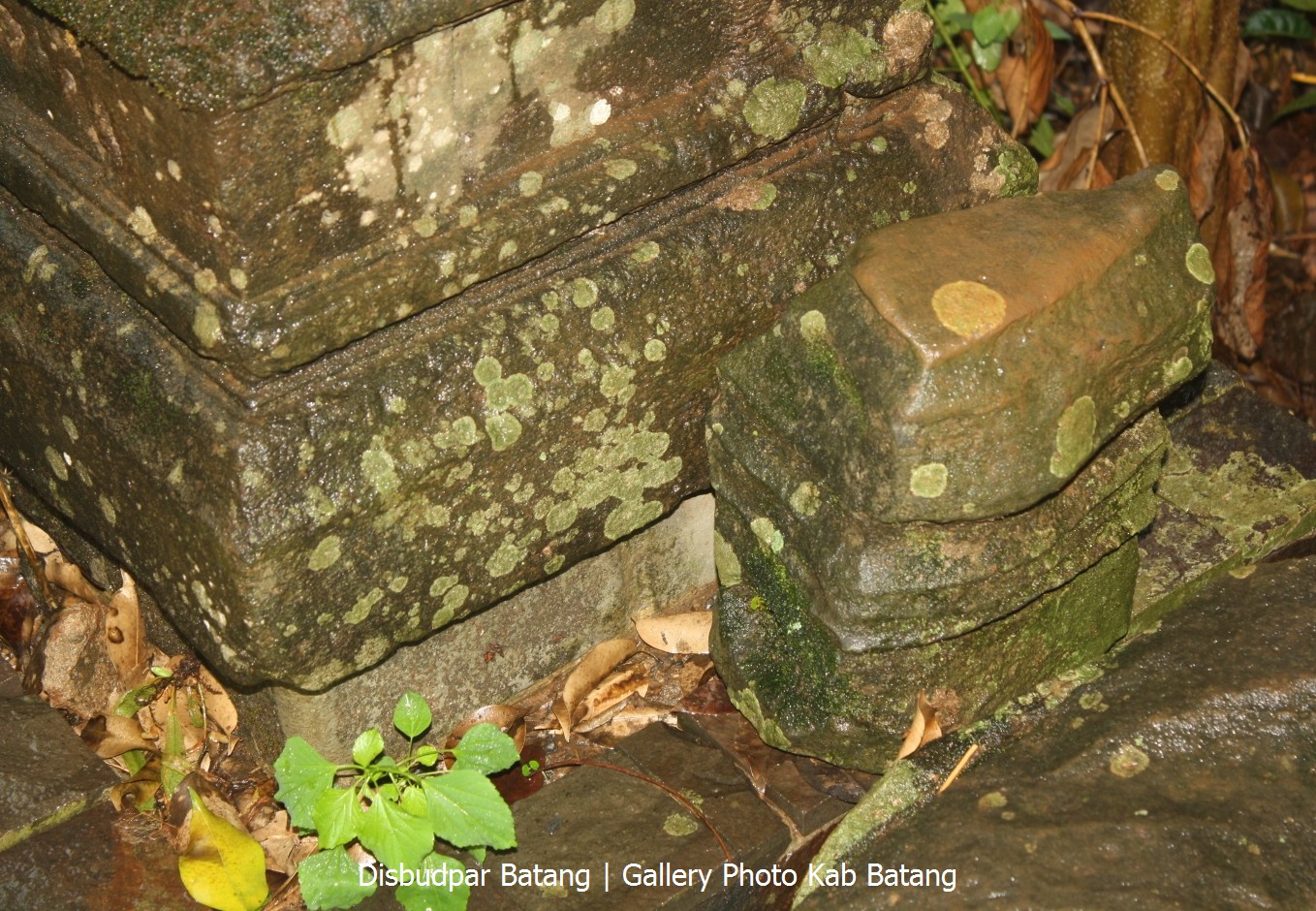 Yoni Sempu Limpung : Batang Gallery