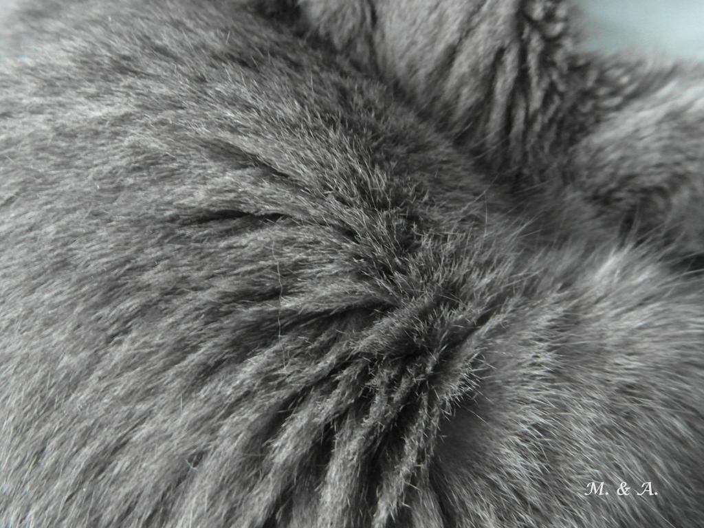 Maria & Achilleas: La Photo du Mois (mars). Monochromie