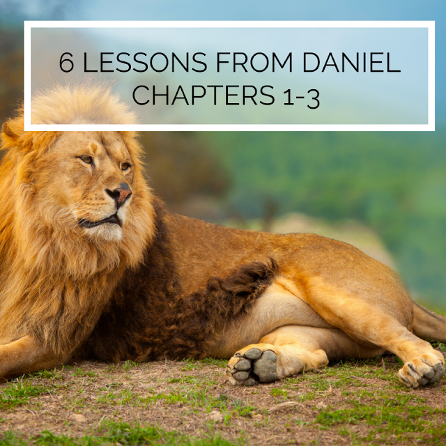 6 Lessons from Daniel Chapters 1-3 - My Journals, My Journey