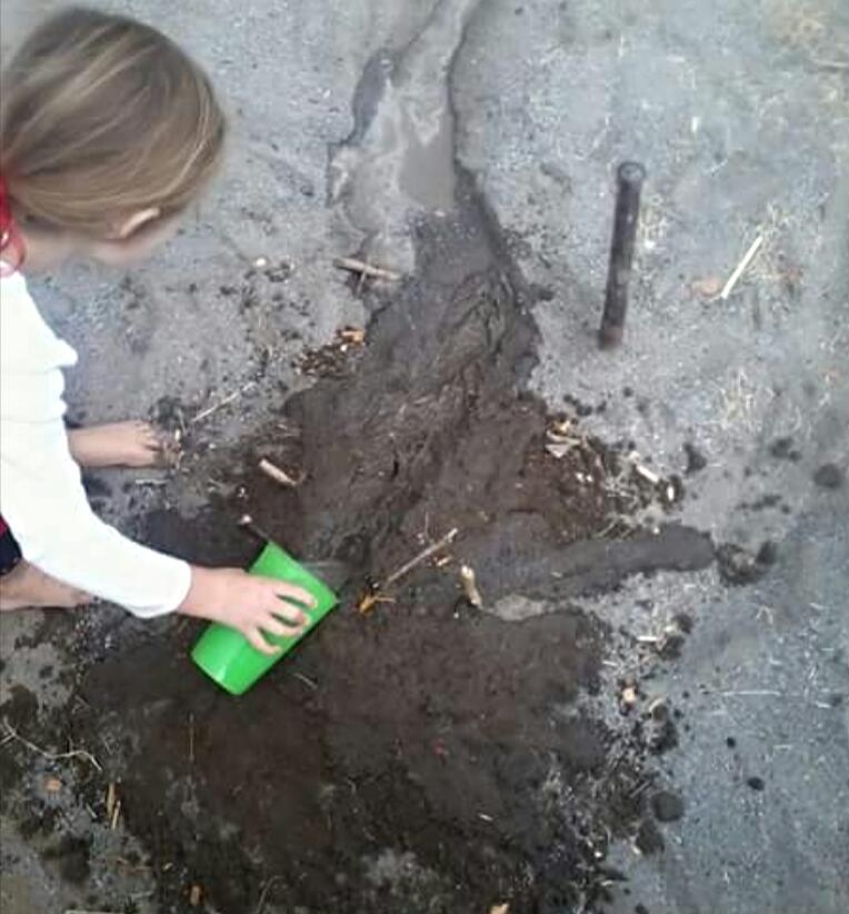 Geology Rocks! Activities and Resources for Studying Geology with Your Kids