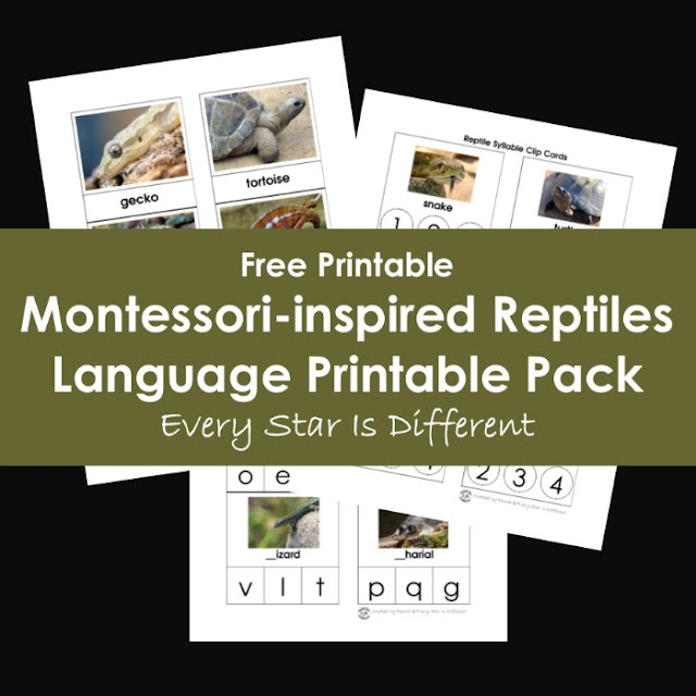 Montessori-inspired Reptile Activities for Kids with Free Printables ...