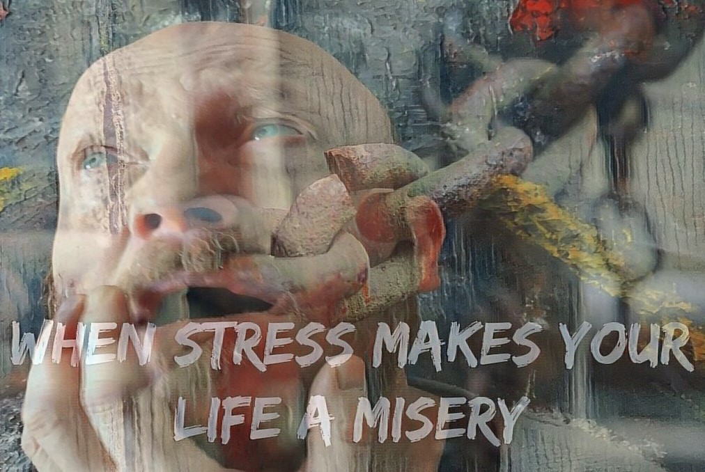 A lifetime! : A life of misery!!