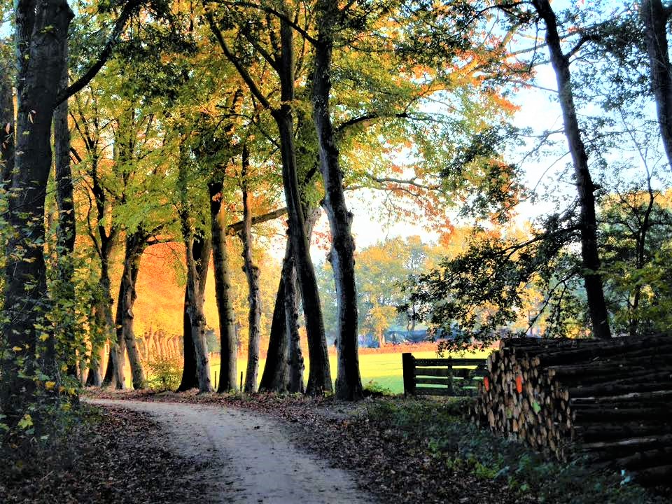 Dorpen en Steden van Nederland: Terborg