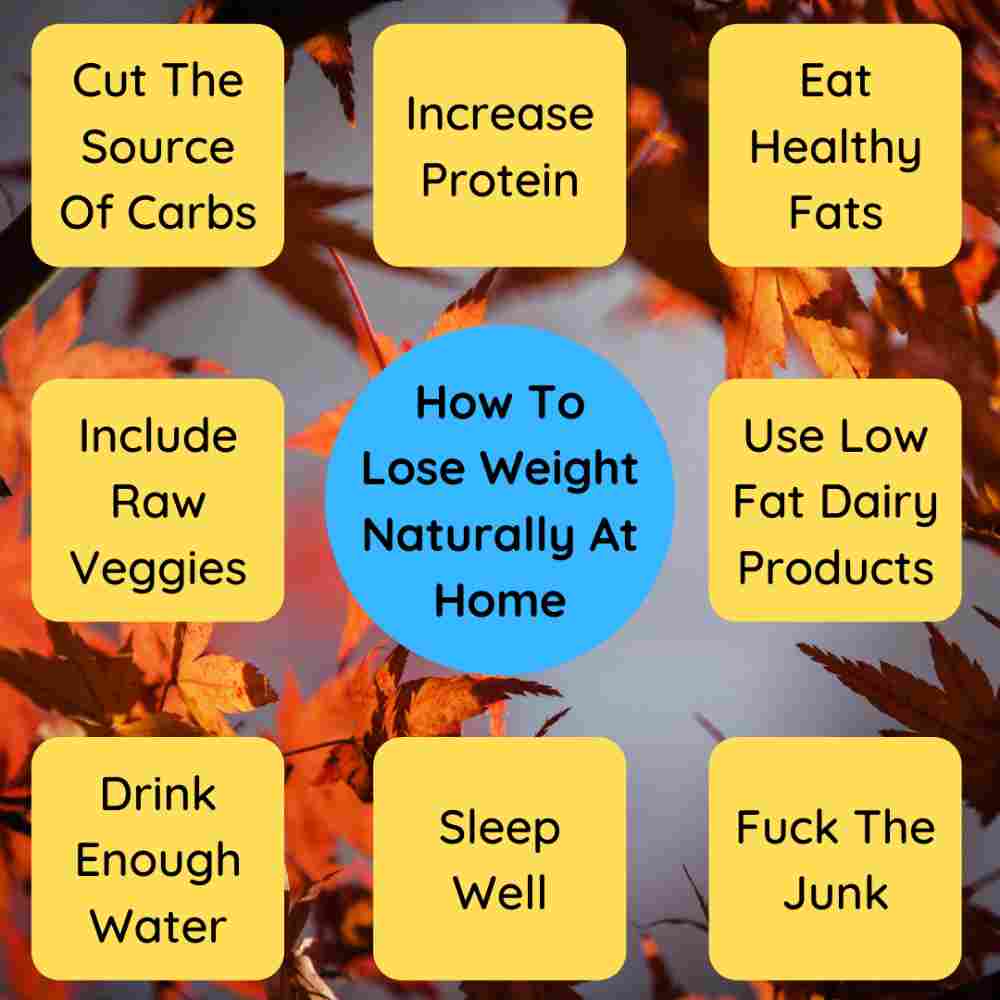 12 Simple Ways To Lose Weight Naturally At Home Fast