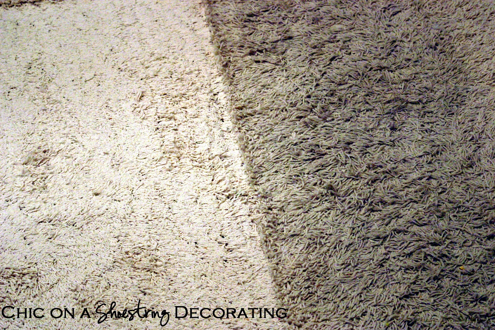 Chic on a Shoestring Decorating: Let's cut a rug...