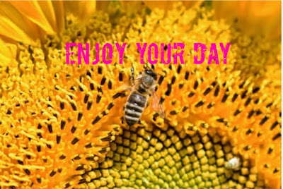 Top 10 Enjoy your day Images , Pictures, Images, greeting ,Photos for ...