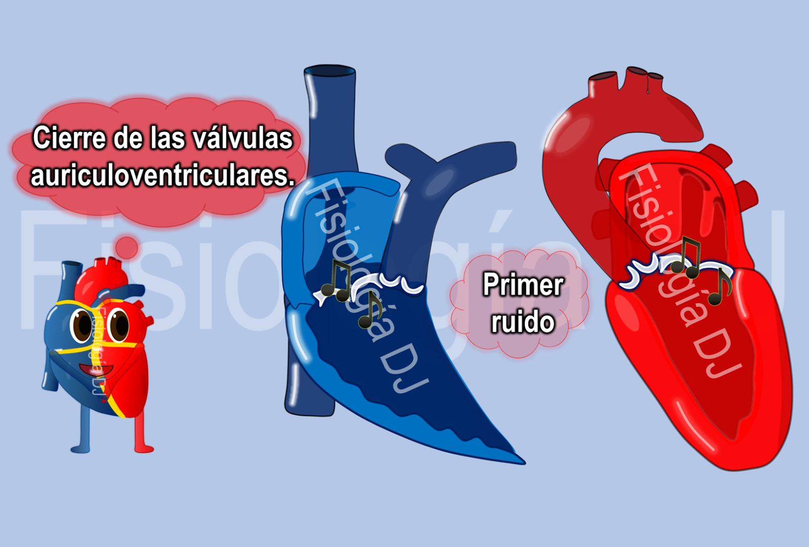 Fisiología DJ: Lo esencial del ciclo cardíaco