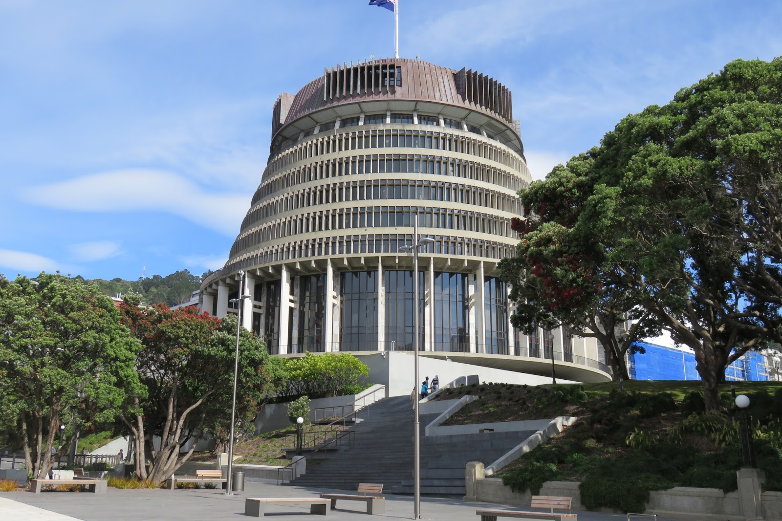 Nomadic Joe: Wellington and Te Papa Museum