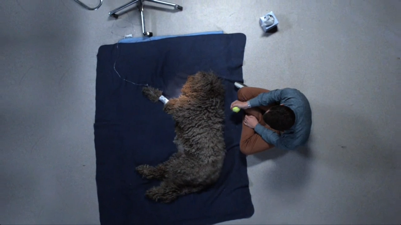 My Power Is Beyond Your Understanding: Wilfred