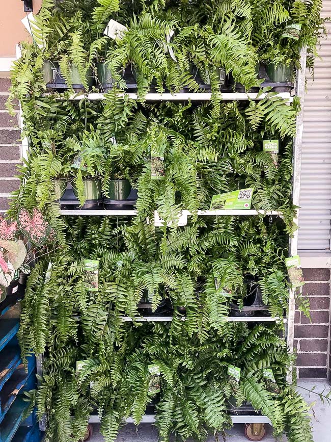 Let's Go Shopping: Favorite Summer Decor From Walmart | Little House of ...