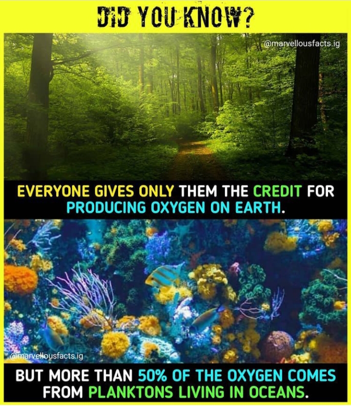 15+ Mind Blowing Facts Collection - 1