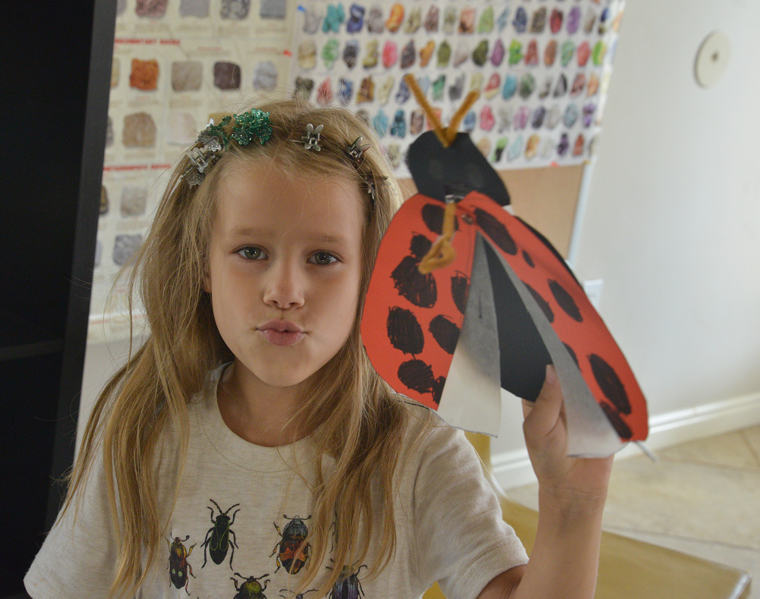 A school of fish: Ladybug Models