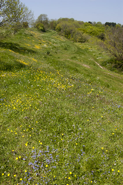 Sulis Manoeuvre: A walk in the sacred landscape: Uley