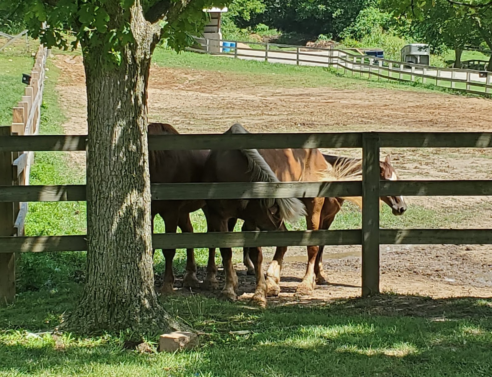 Play St. Louis: Suson Park, South St. Louis County