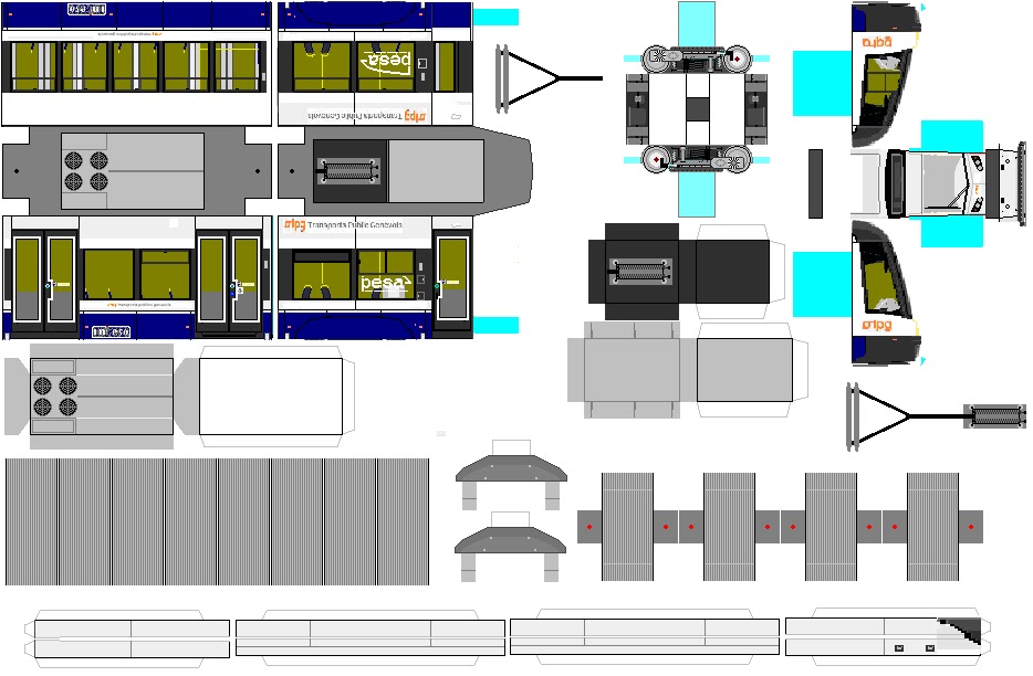 busamoi: Papertram pesa Swing 120nm A livré TPG