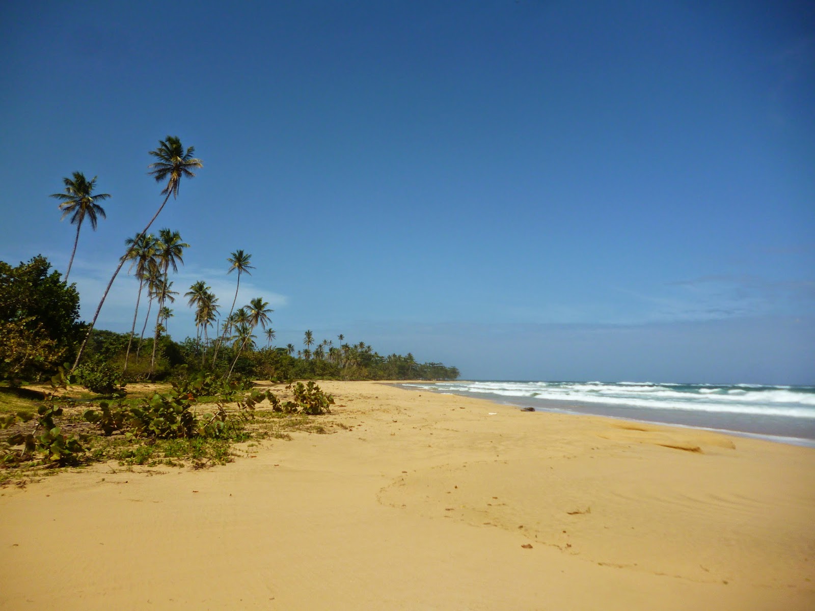 Nikki: Montañas y Sueños: Kusapin ~ El paraíso en la tierra (Retiro ...