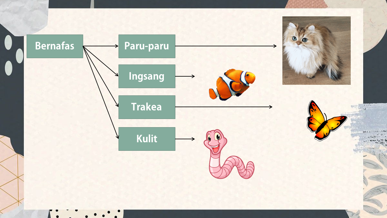 Pembelajaran Kelas 3