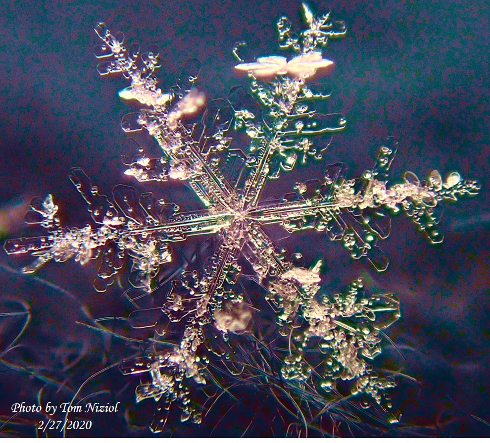 The Weather Around Us: Photographing Snow Crystals - On A Budget