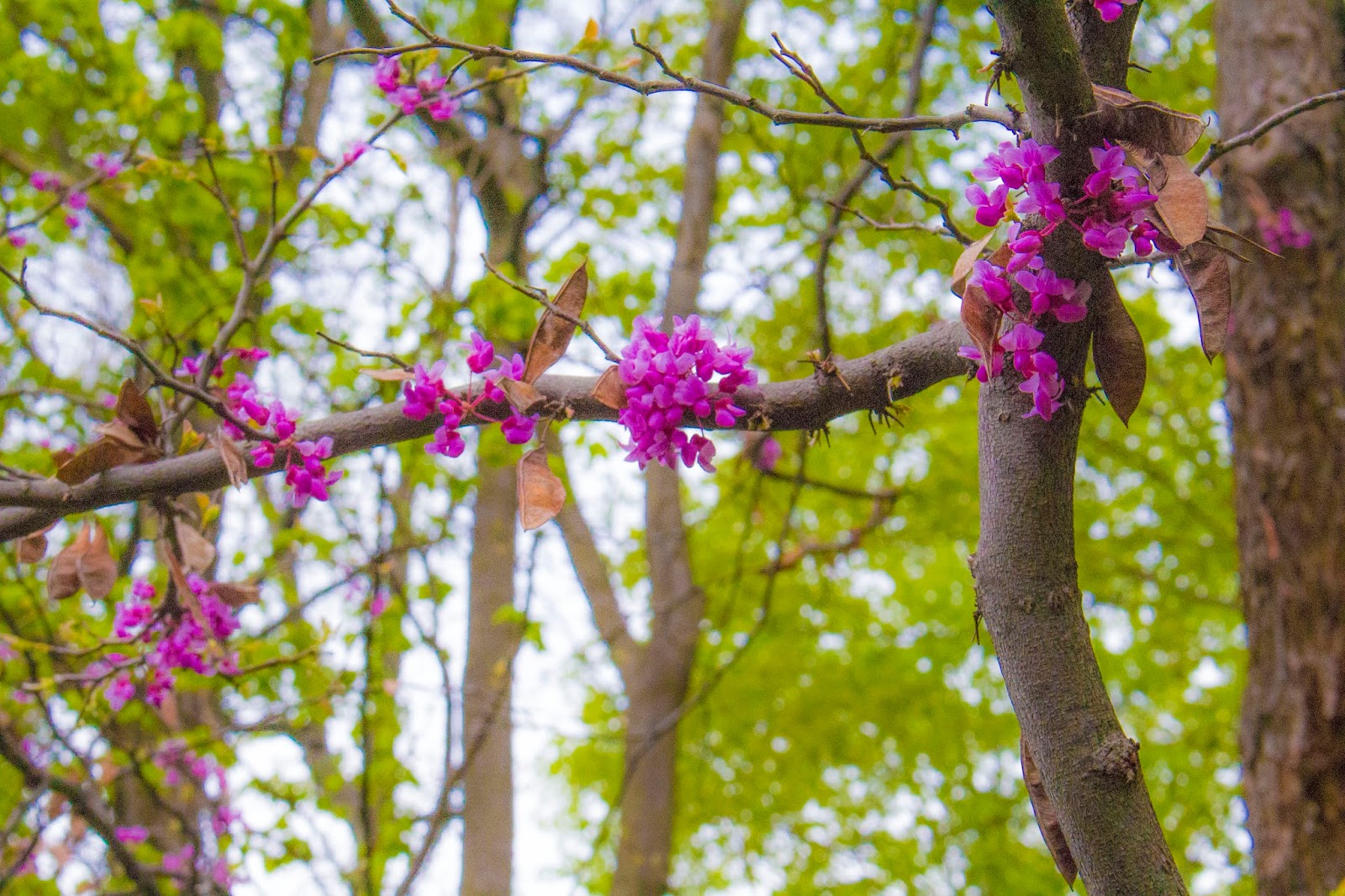 Andrew Sheffer Photo 2