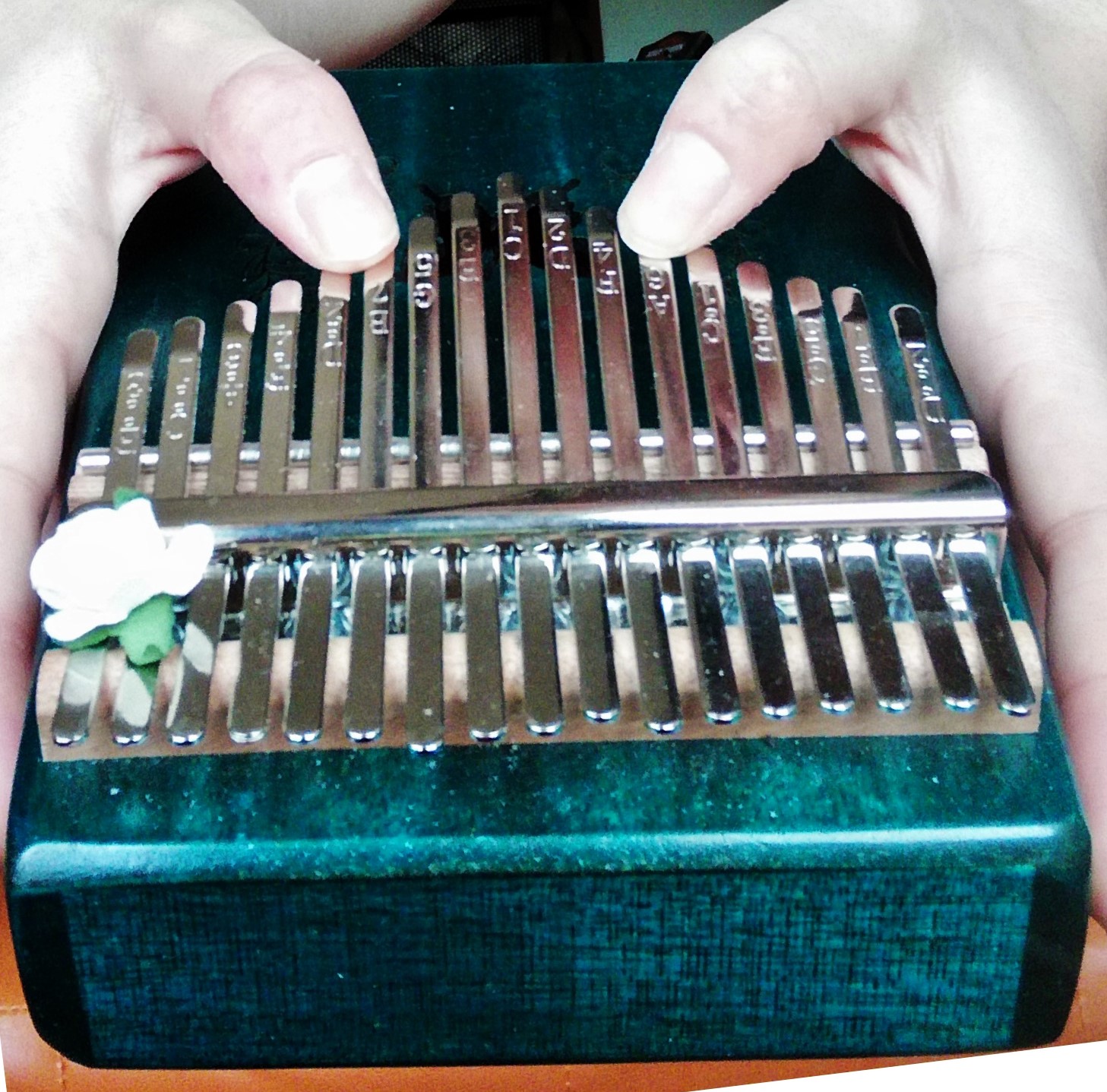 How to hold the Kalimba and how to move your thumbs