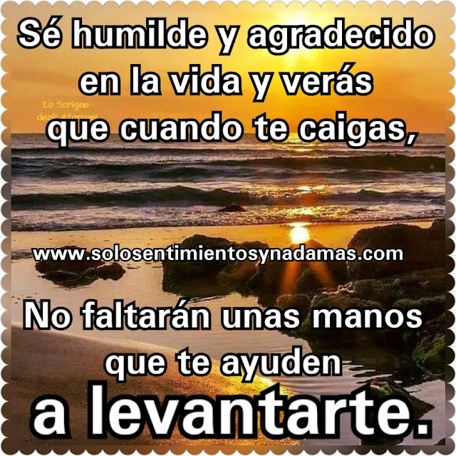 Sé humilde y agradecido en la vida. - Solo sentimientos y nada mas