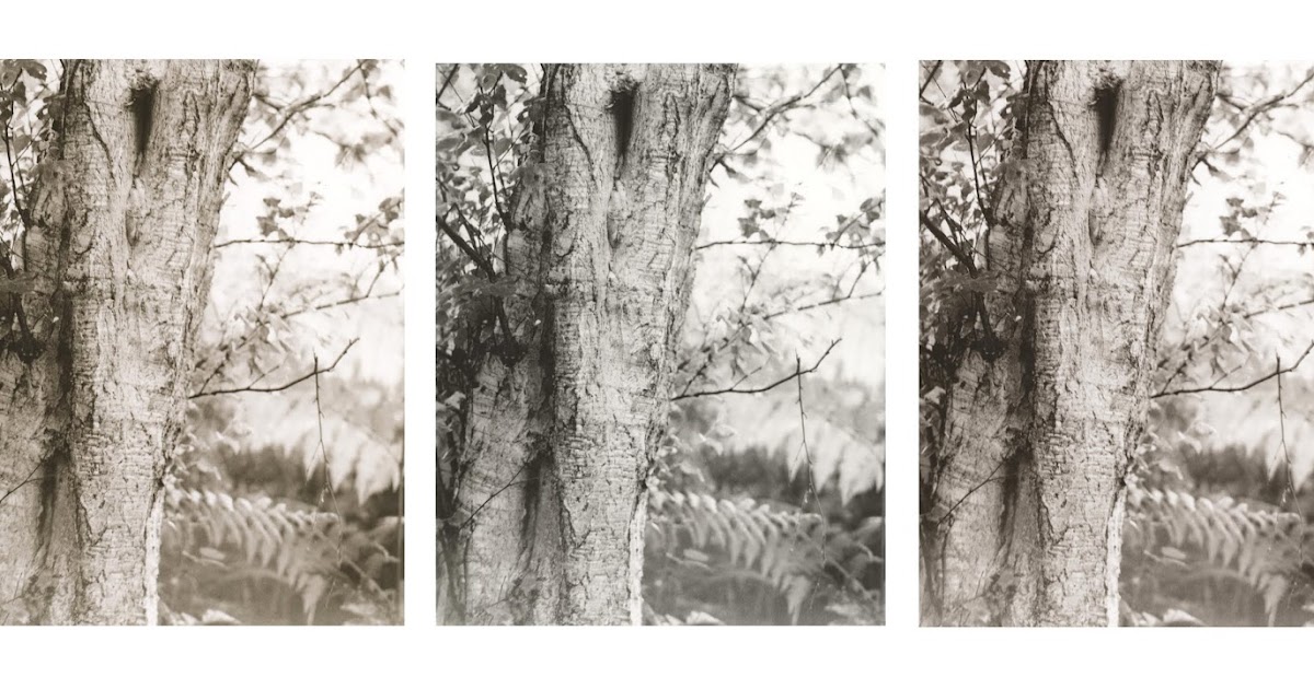 Physical Split Printing and Toning