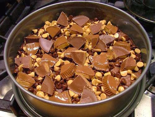 Choco bites - Kolaveri Di?