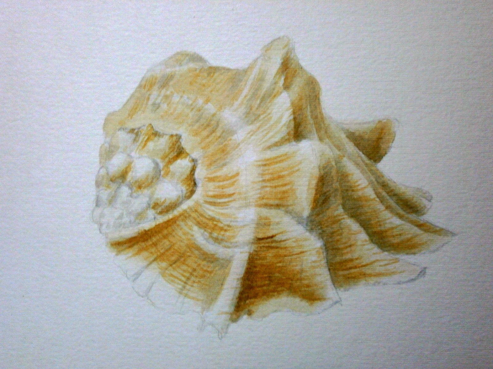 Joyful Art: Sea shell painting using multilayer watercolors technique ...