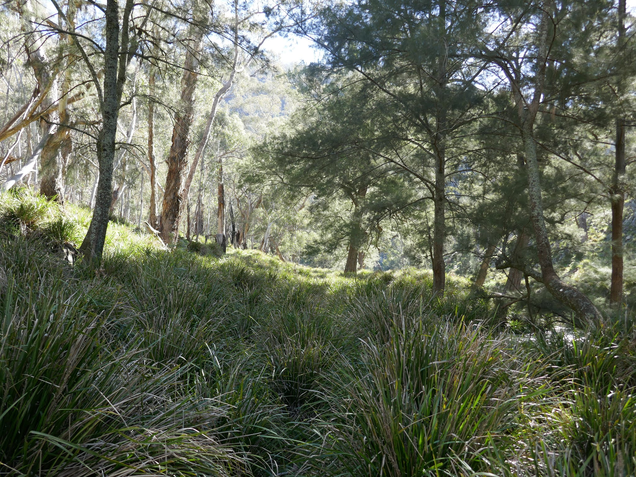 All The Gear But No Idea: Turon River - The Devil's Climb