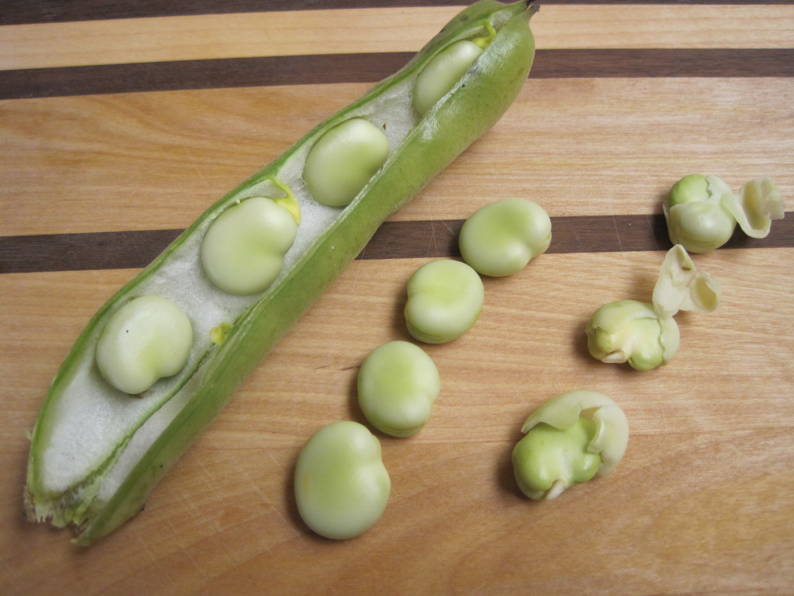 Mom's Cooking Help: Fava Beans: What Are They and How Do I Cook Them?