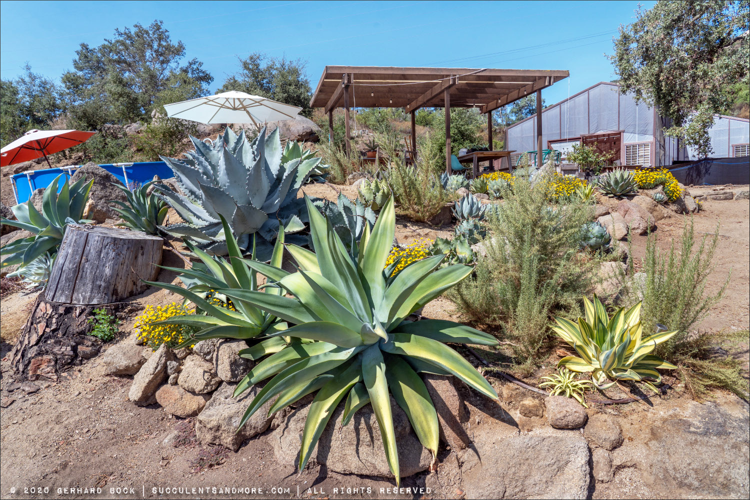 Jeremy Spath's Hidden Agave Ranch: the grounds