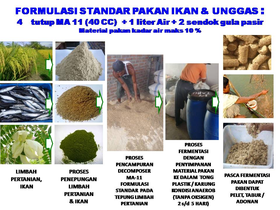 Membuat Pakan Ternak Sendiri dari Sumber Lokal: Tingkatkan ...