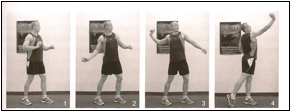 Netball Passes: The Biomechanical Principles: How can a netball player ...