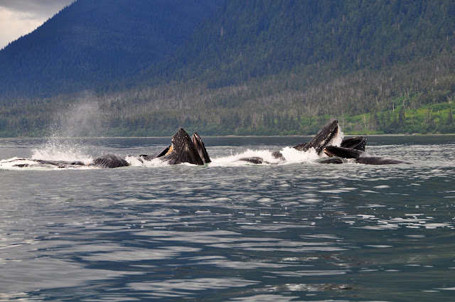 Summer Solstice in the Last Frontier: JUNEAU